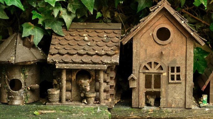 Grandad becomes friends with the mice in his garden and builds them ...