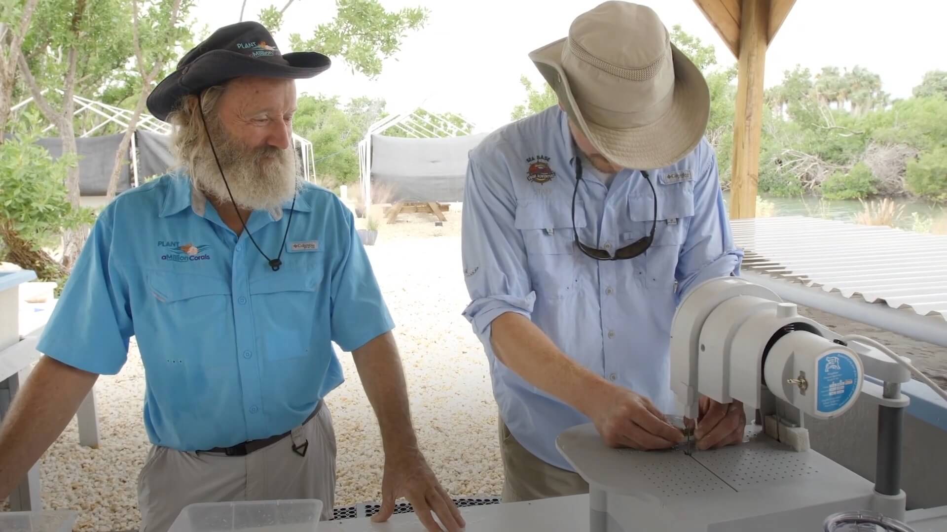 Dr. David Vaughan wants to plant 1 million corals in only 2 years ...
