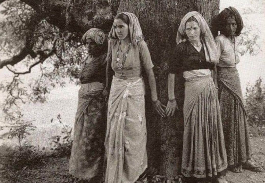 The origin of the term "tree huggers"