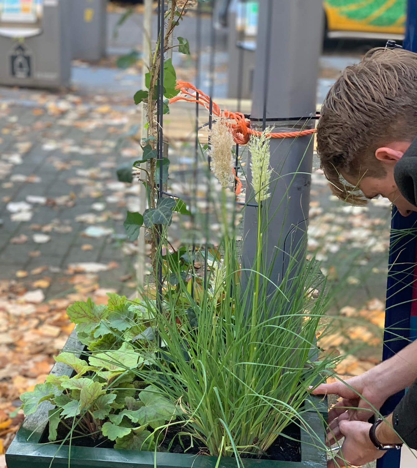 Rotterdam Greens And Lights Up Its Streets With Street Full of ‘Plant ...