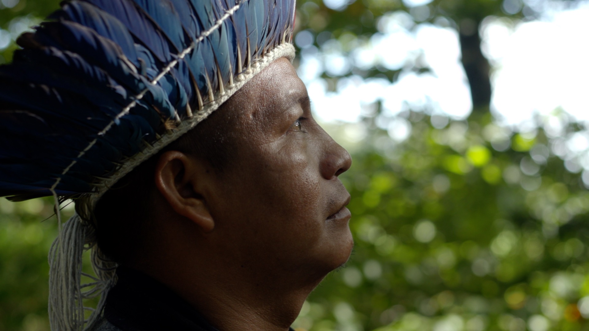 Indigenous Chief Dada Risks His Life to Protect the Rainforest