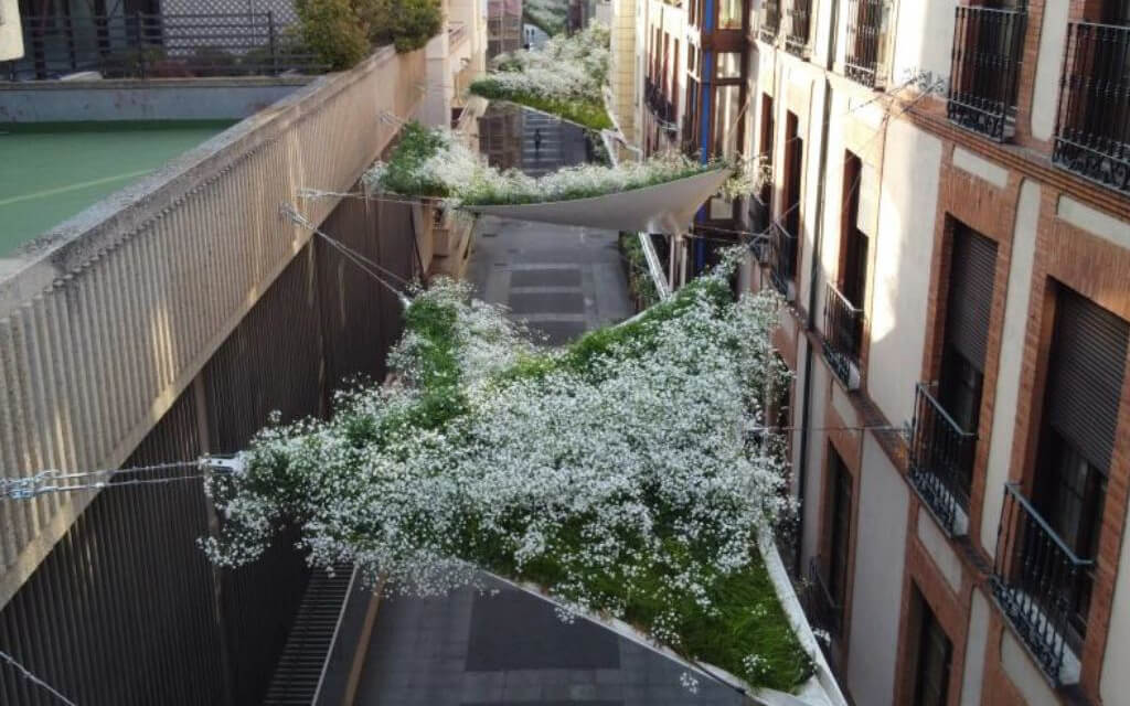 Green Canopies: Nature's Response to Cool Cities