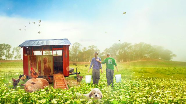 Exclusive interview The Biggest Little Farm