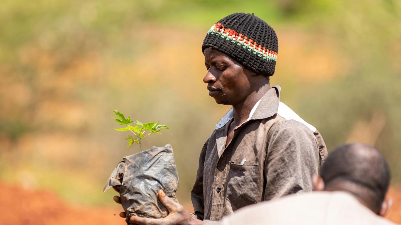 Kenya's Greener Future with 100 Million Tree Planting Holiday