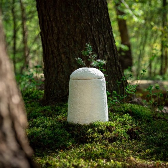 The Mycelium Magic of Loop Biotech's Living Coffin