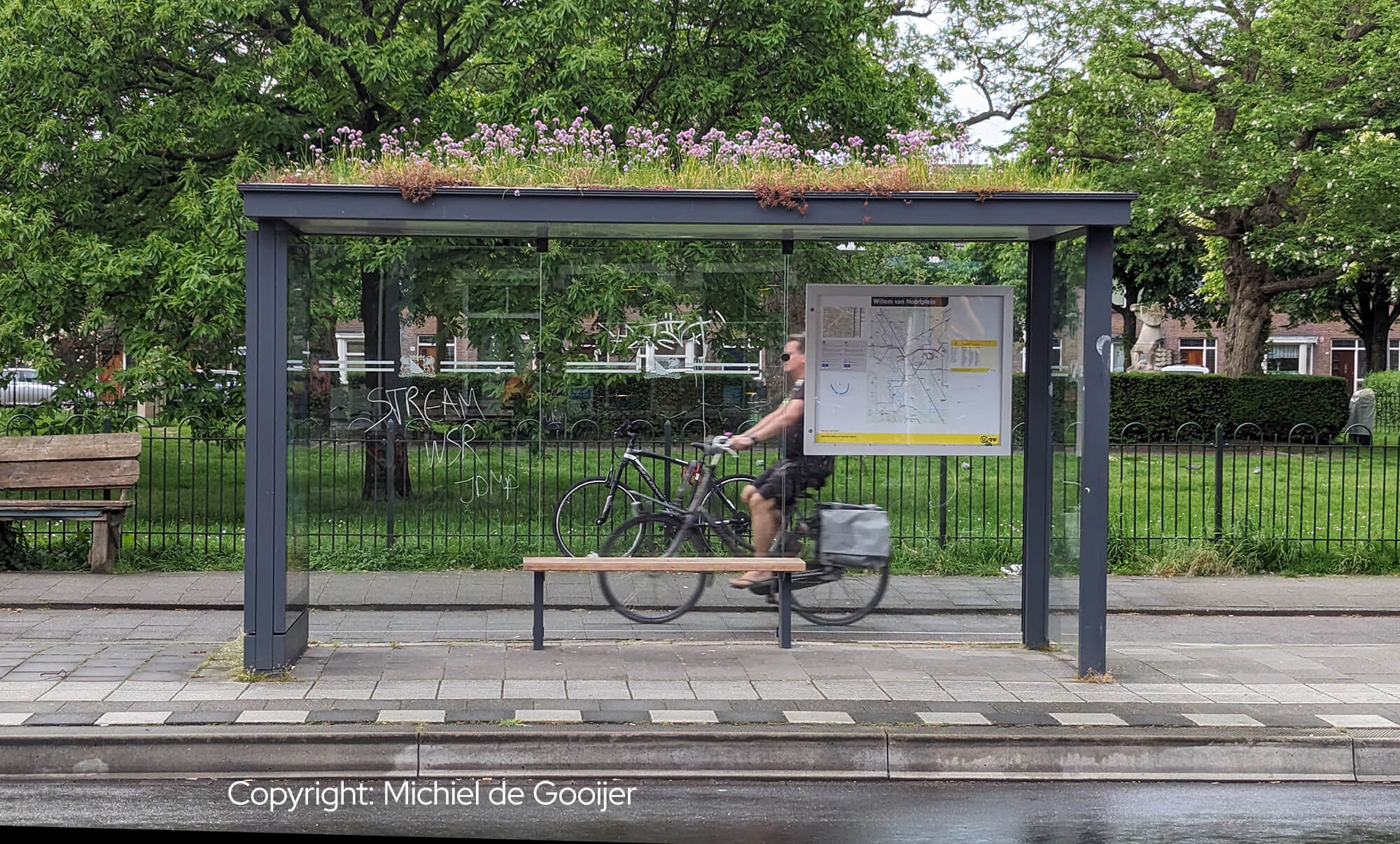 Utrecht verwandelt Bushaltestellen in grüne Oase