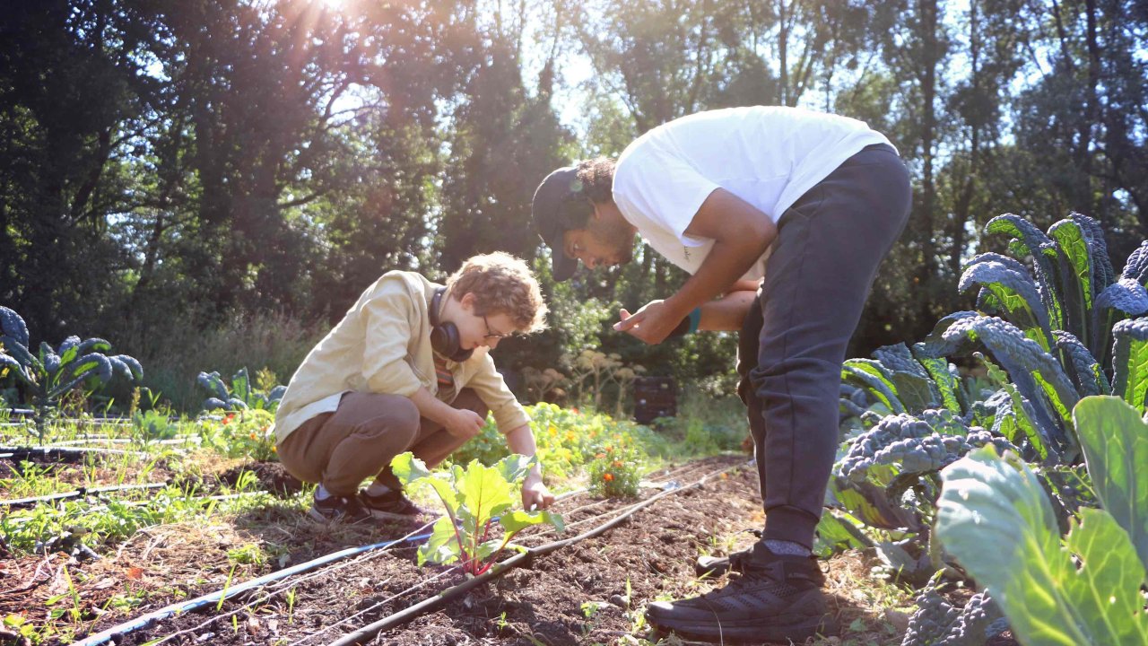 From City Streets to Farm Feasts: Phood Farm Urban Agriculture