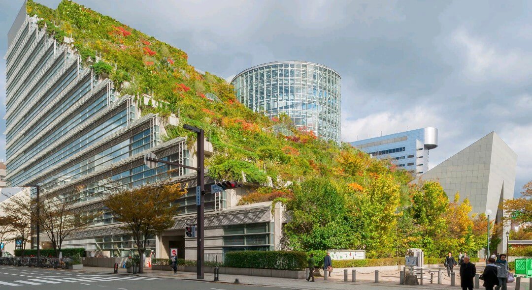 Living Roof In Japan Minka Wikipedia
