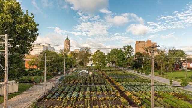How this “agrihood” is revitalising Detroit - BrightVibes