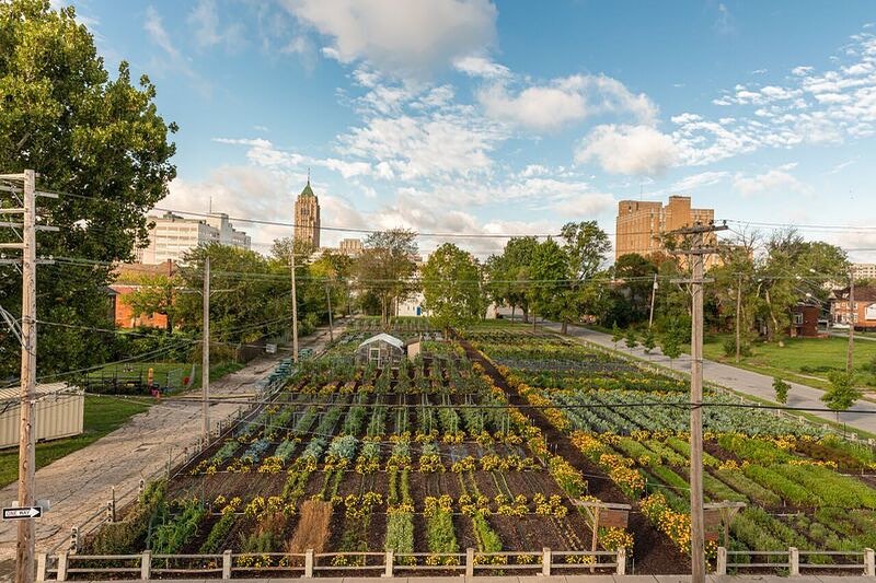 How this “agrihood” is revitalising Detroit - BrightVibes