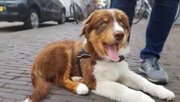 The heartwarming backstory of 5-year-old viral sensation Rylyn Clark 'A ...