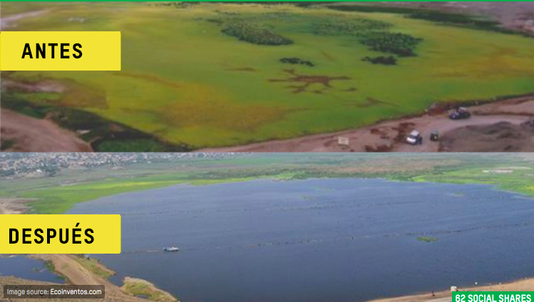 Descubre cómo un hombre limpió un lago contaminado en Perú utilizando ...