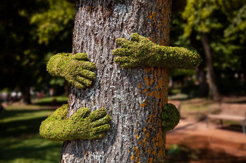French artist grows a love of nature with his 'tree hug' installation ...