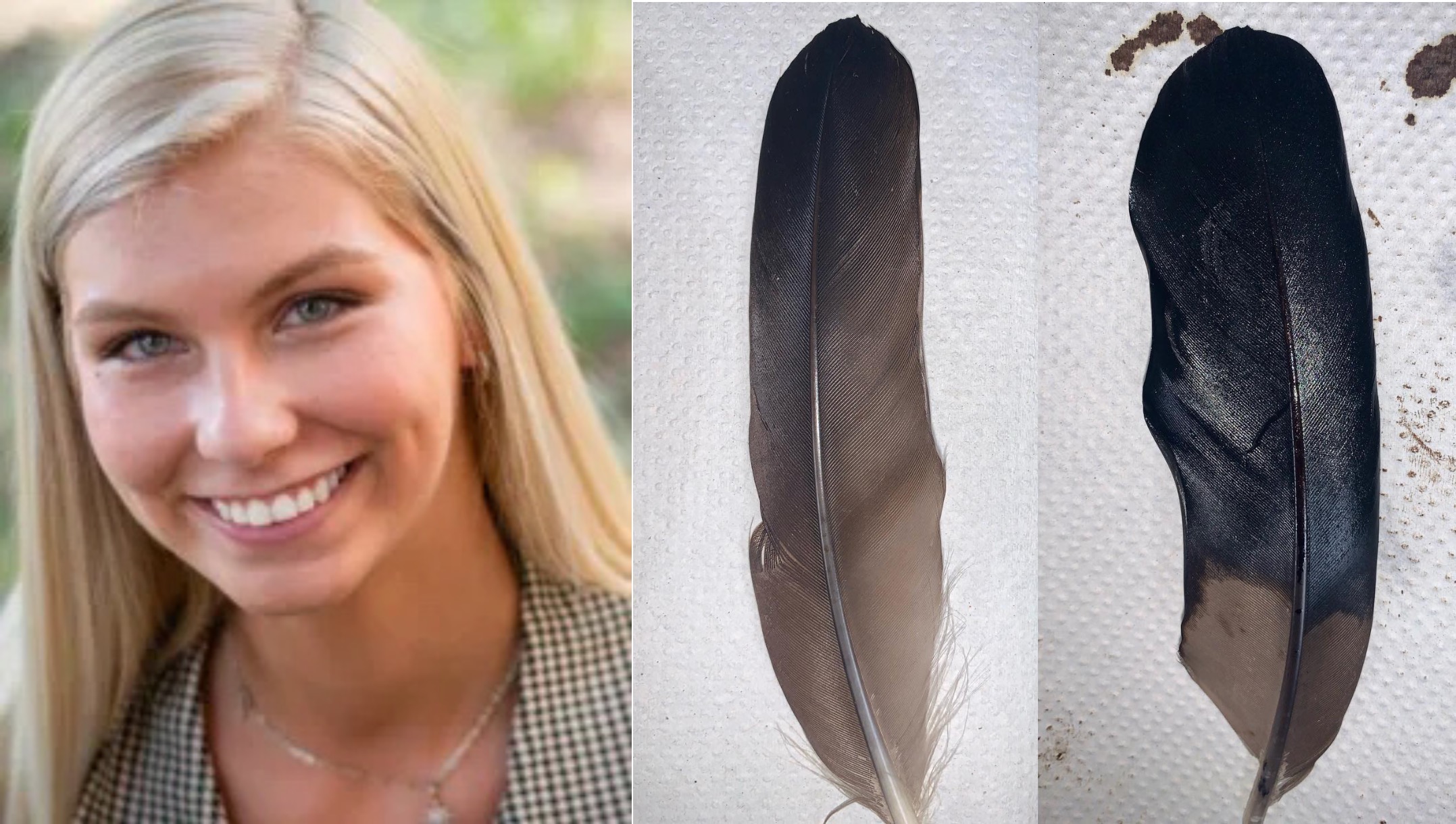 Student creates non-toxic solvent to remove 90% of crude-oil from ...