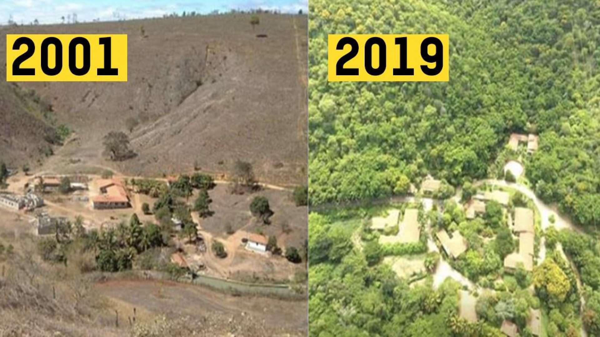 The Brazilian photographer and the 20-year reforestation project of ...