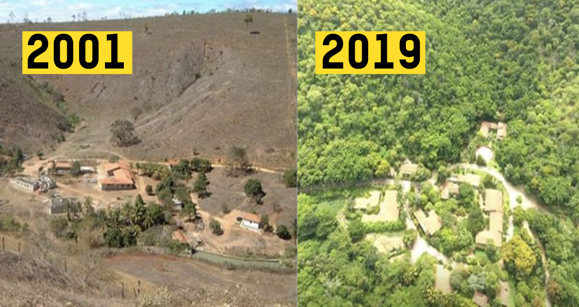 HHHSSebastião Salgado's Reforestation with Instituto Terra - 2.7 ...