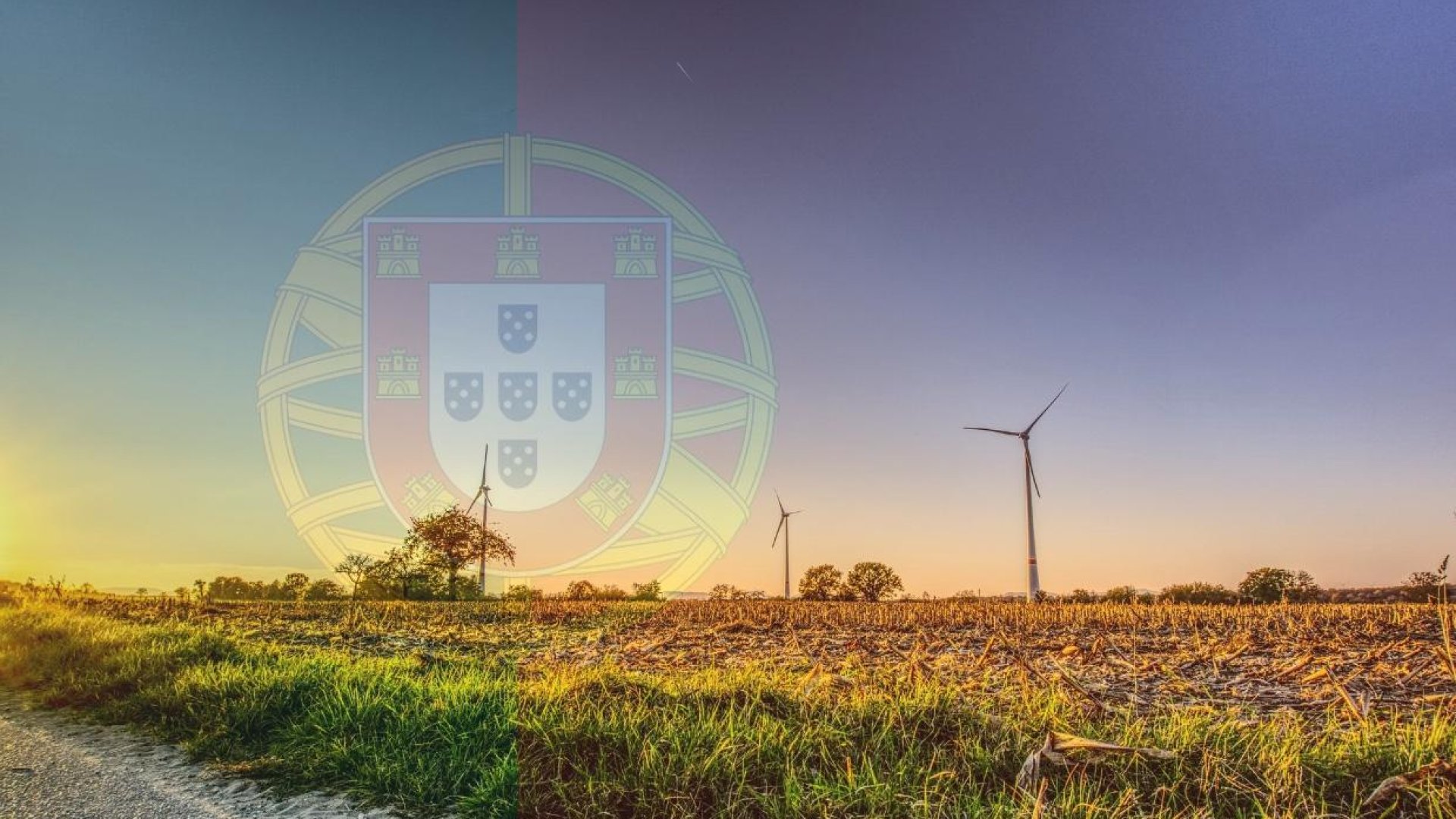 Portugal ran on 100% renewable power for the whole of March! - BrightVibes