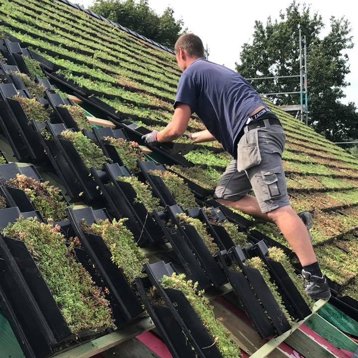 Dutch invent green roof tiles that can turn even pitched roofs into ...