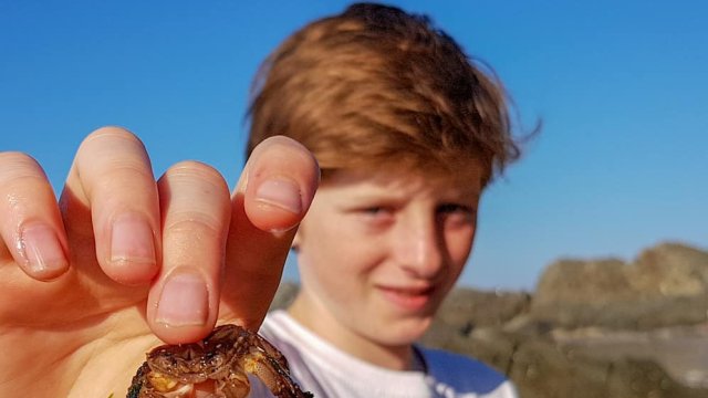 Plastic-Free Boy: Saving the ocean from Plastic! - BrightVibes