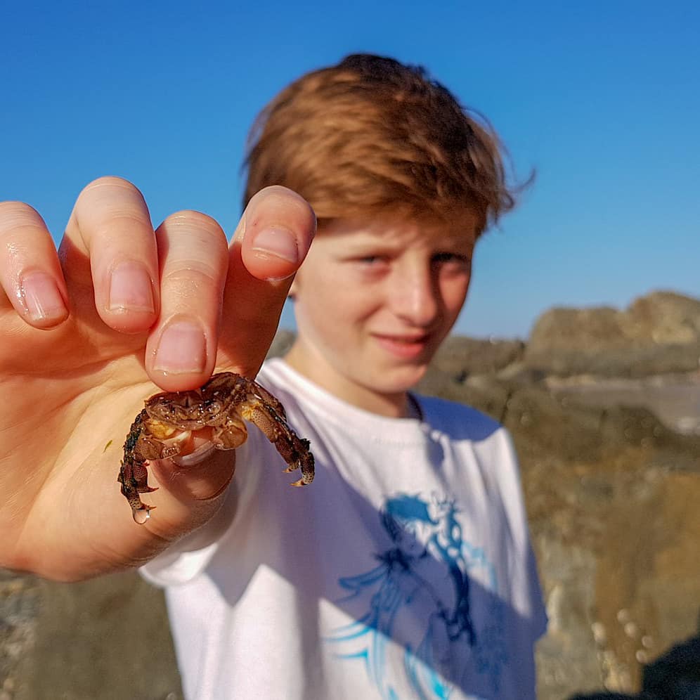 Plastic-Free Boy: Saving the ocean from Plastic! - BrightVibes