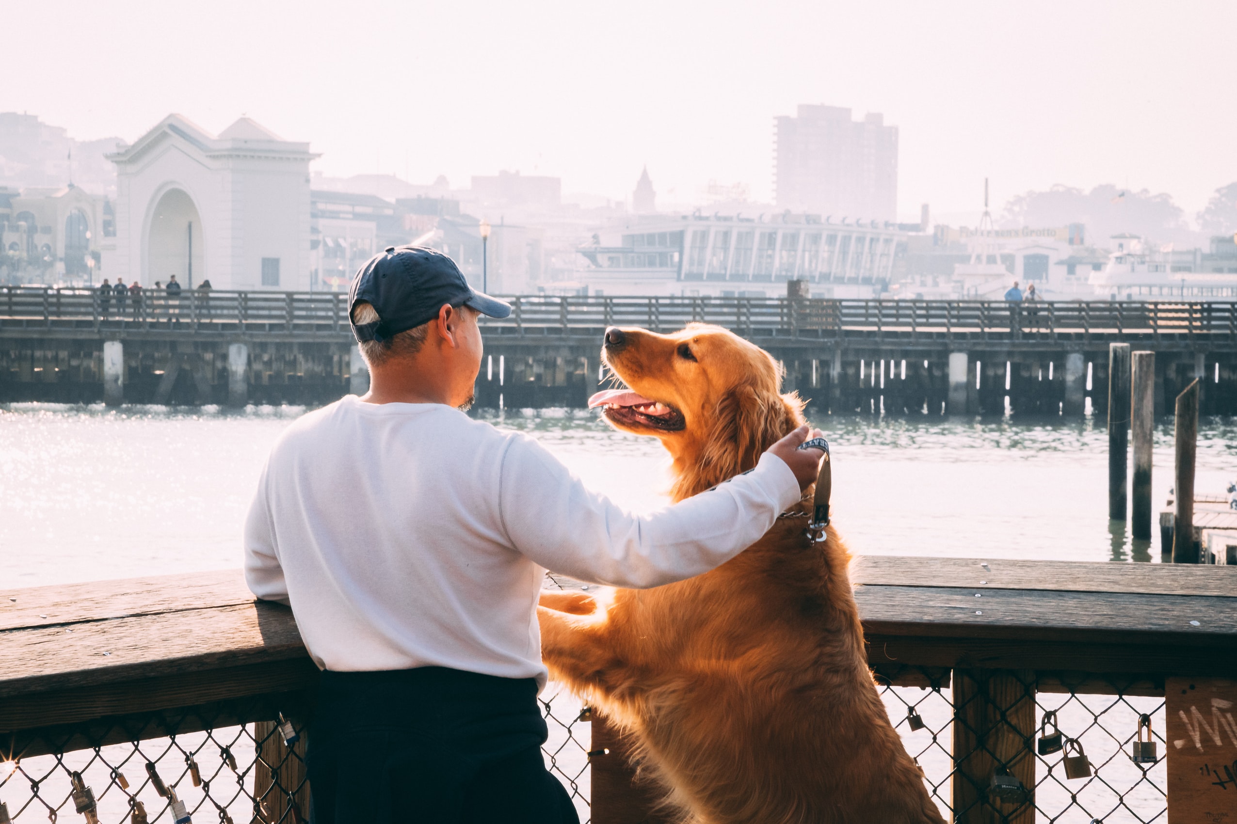 Owning a dog can help you live longer, new research suggests - BrightVibes