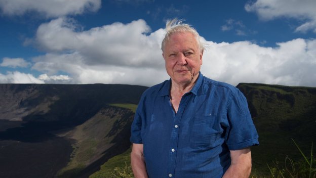 The heartwarming backstory of 5-year-old viral sensation Rylyn Clark 'A ...