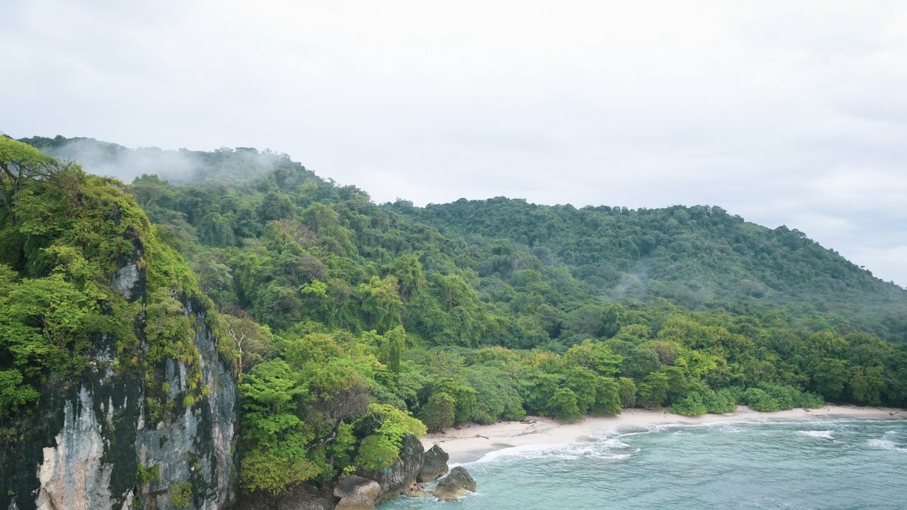 Discover how Costa Rica has doubled its forest cover in under 30 years ...