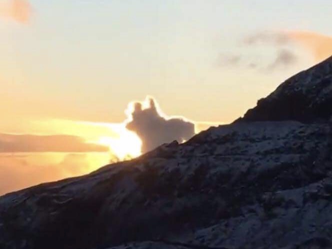 They say “All Dogs Go to Heaven” and these dog-shaped clouds could be ...