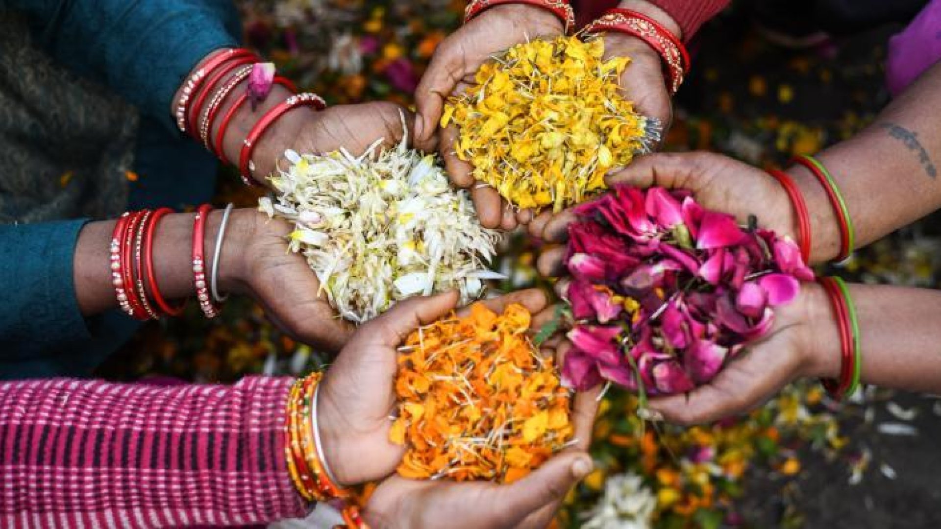 INDIAN ENTREPRENEURS UPCYCLE LEFTOVER RELIGIOUS FLOWERS INTO USEFUL ...