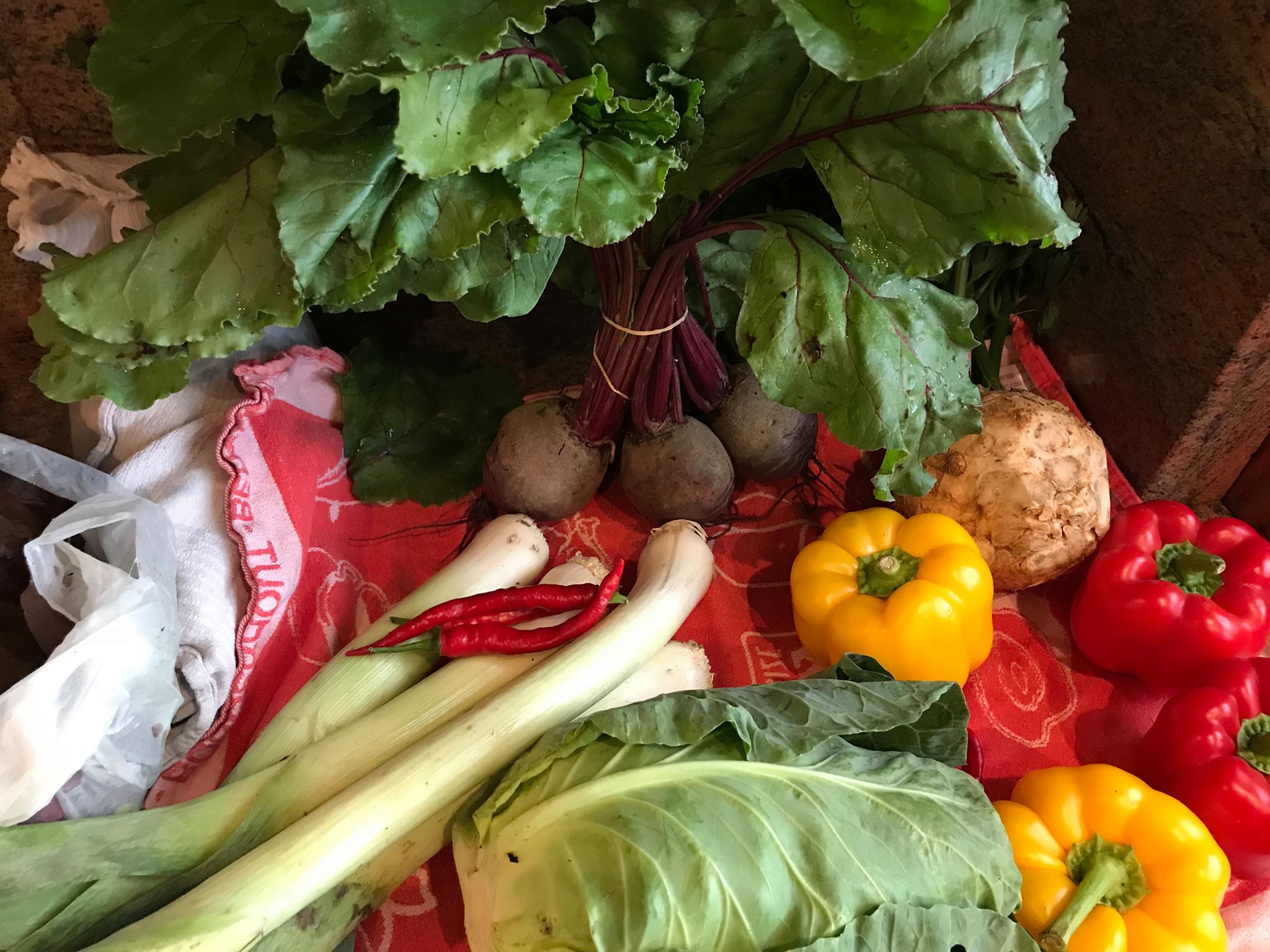 Study Finds That People Are Eating Healthier and Wasting Less Food ...