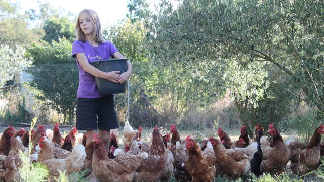 This Eco Farm in New Zealand is a thriving model of Community Supported ...