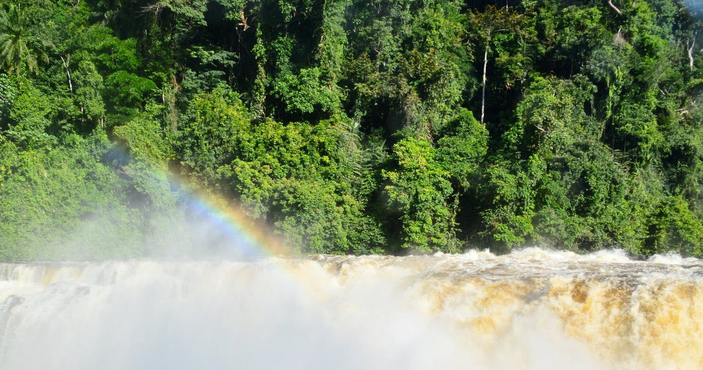Gabon becomes first African nation to be paid to protect its rainforest ...