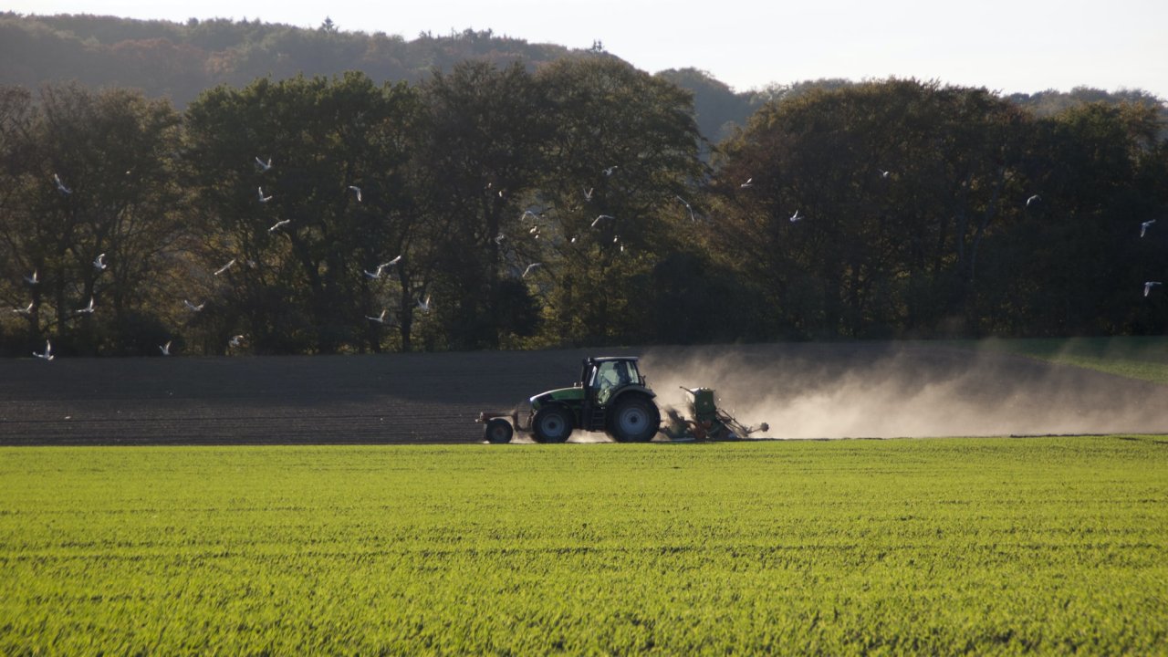 How Crushed Volcanic Rock Sprinkled on Farm Soil Could Help Slow ...