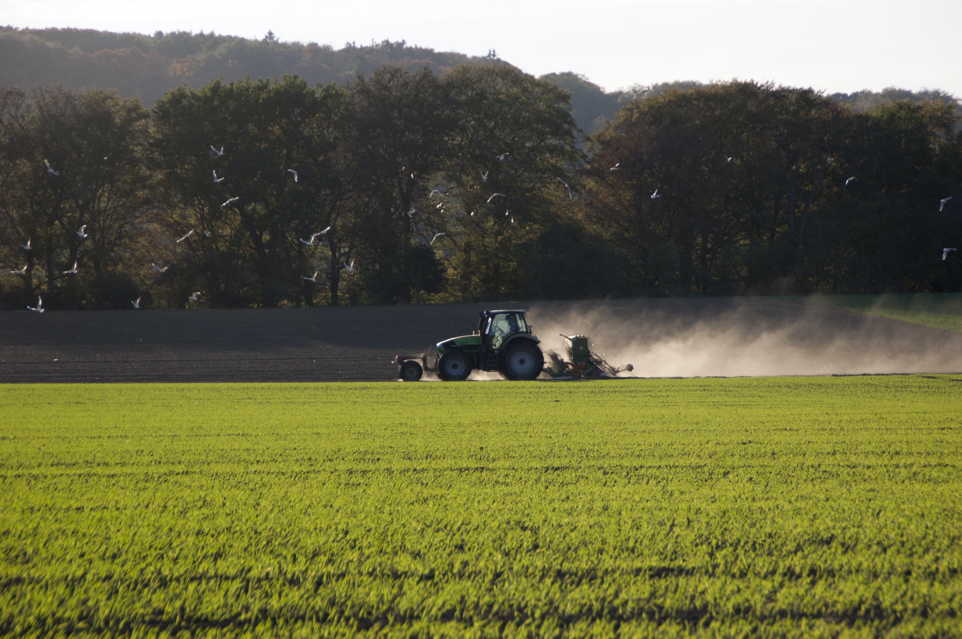 How Crushed Volcanic Rock Sprinkled on Farm Soil Could Help Slow ...