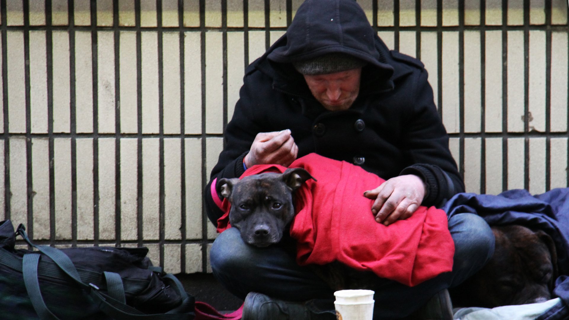 Discover how Finland is tackling homelessness by giving homes away ...