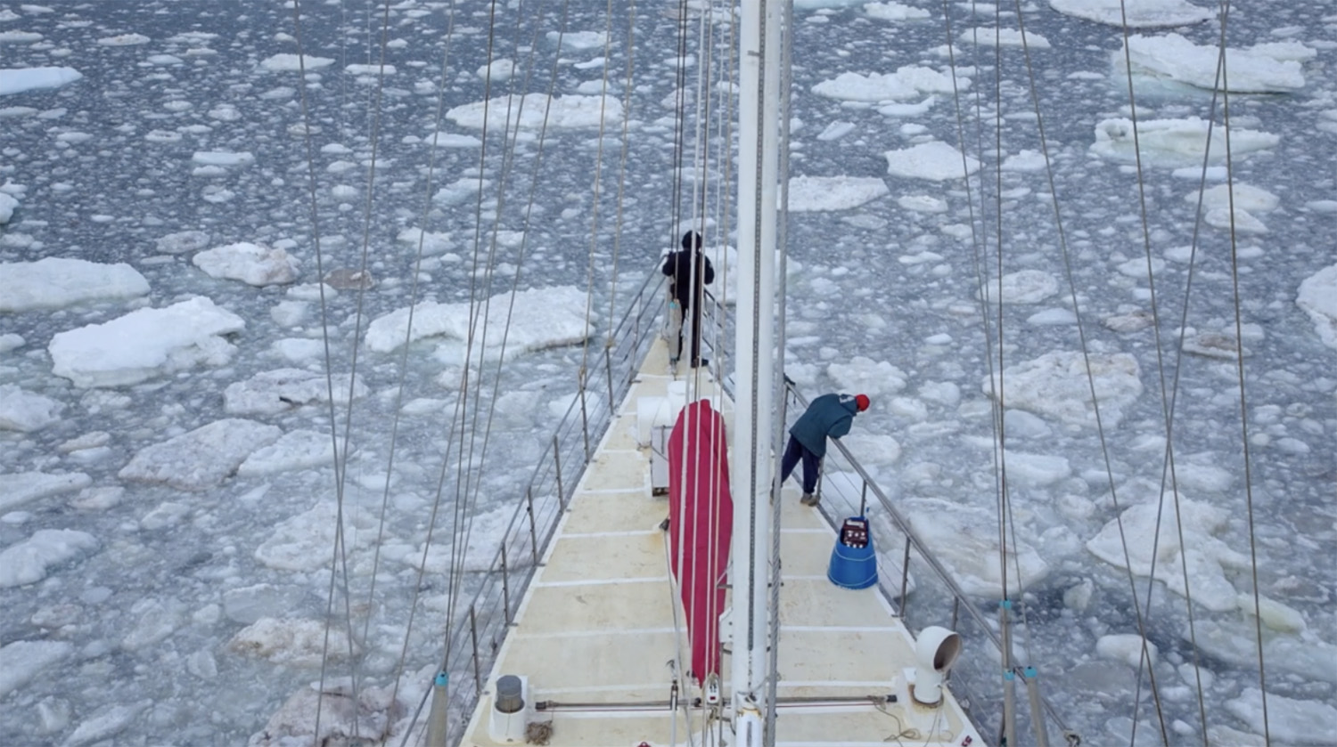 A global initiative to unite humanity under one flag - BrightVibes