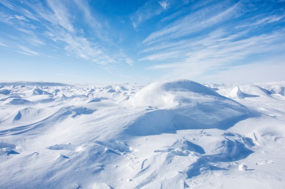 Canada creates one of the world’s biggest conservation areas to protect ...