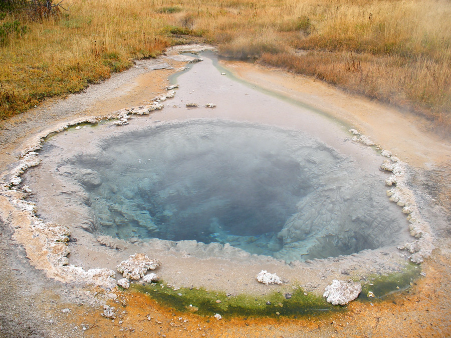 Scientists Capture Bacteria That Eats Pollution and Breathes ...