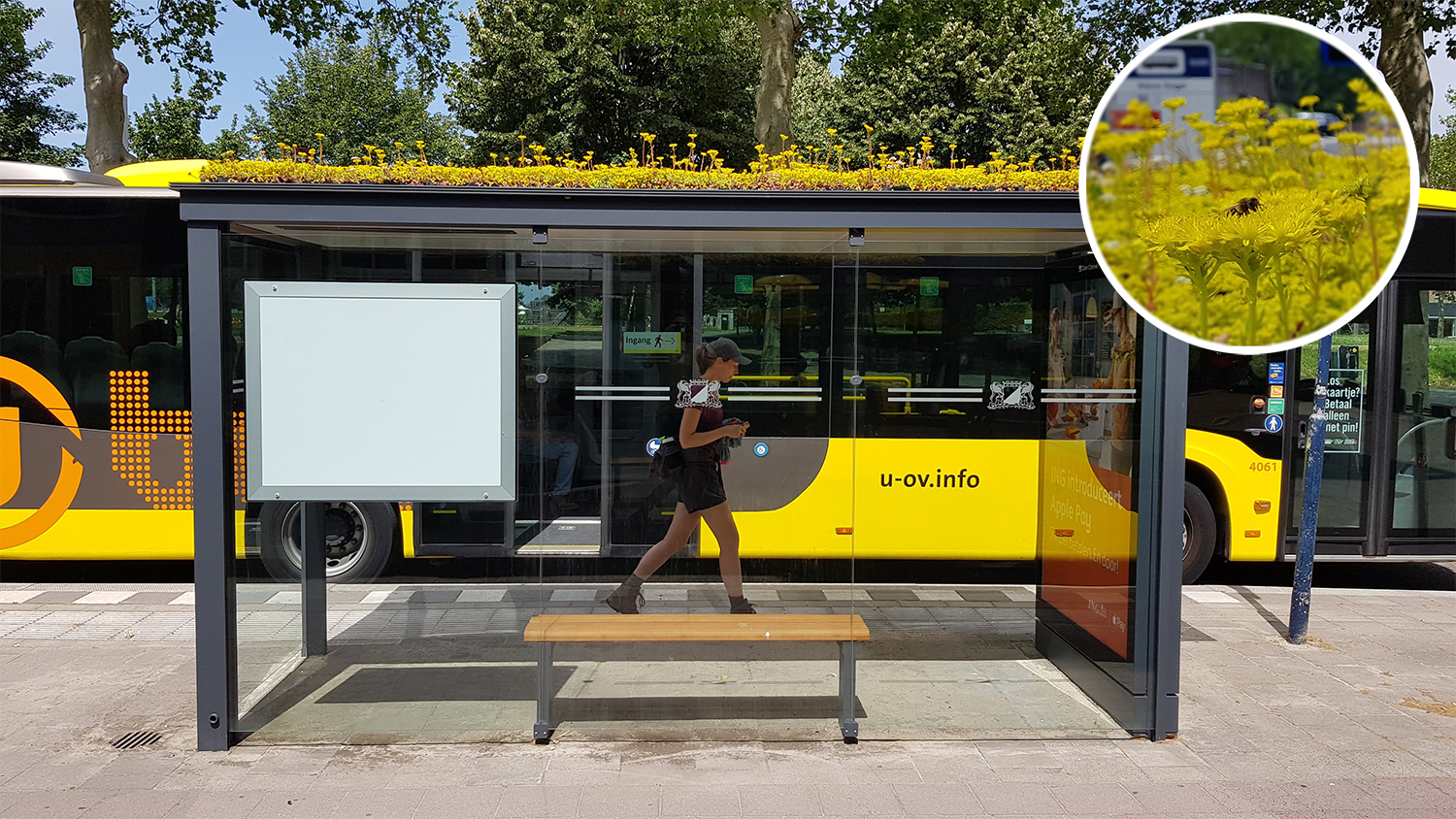 Dutch City Utrecht: Transforming Bus Stops into Bee Stops