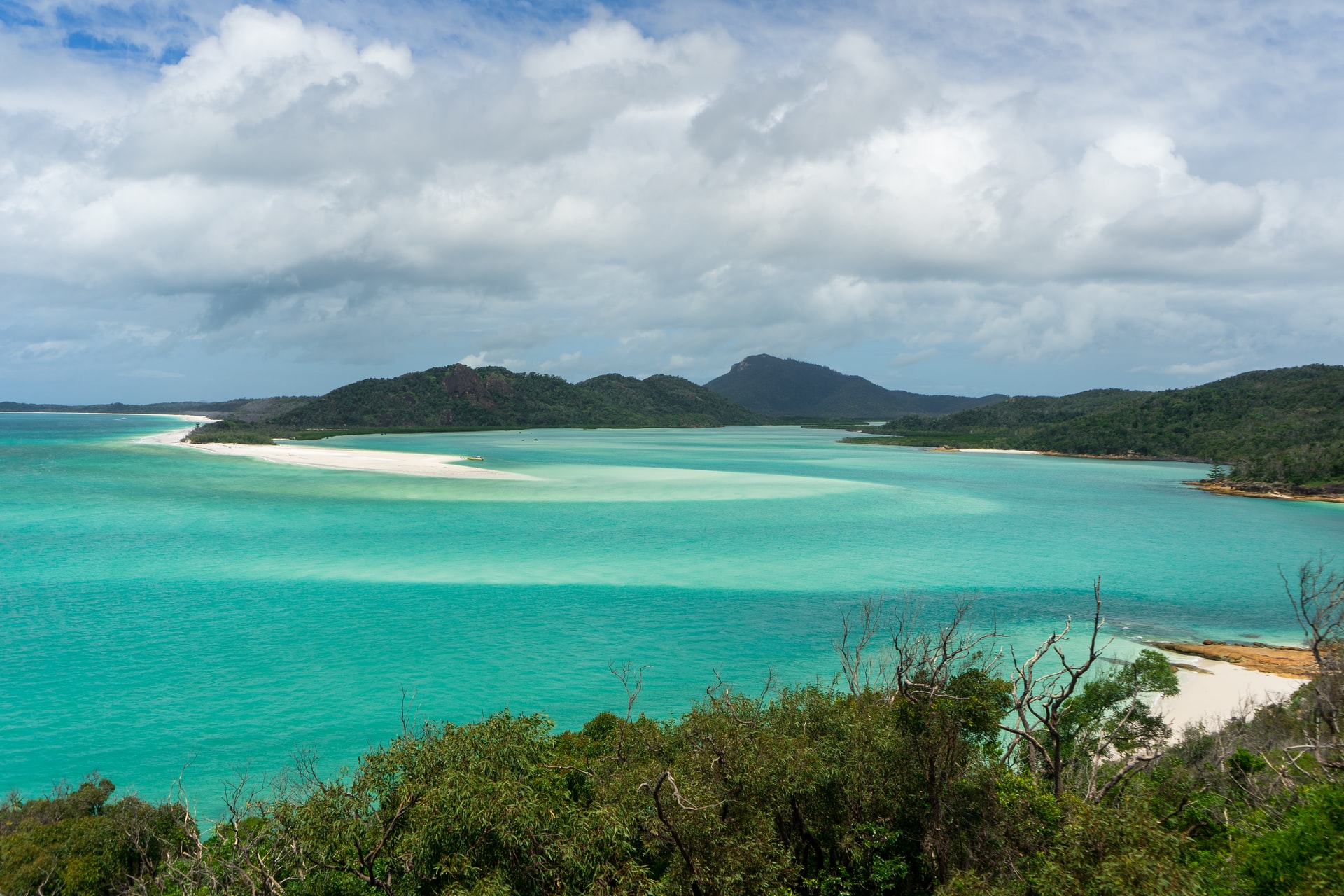 Australian ocean protection gets $100m in new funds - BrightVibes