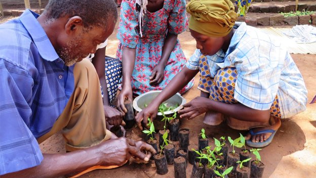 Conservation Project Brings Platypus Back to Oldest National Park