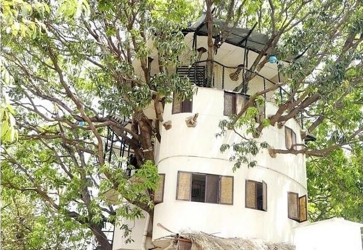 Not one but two Indian families have built spacious homes around large ...