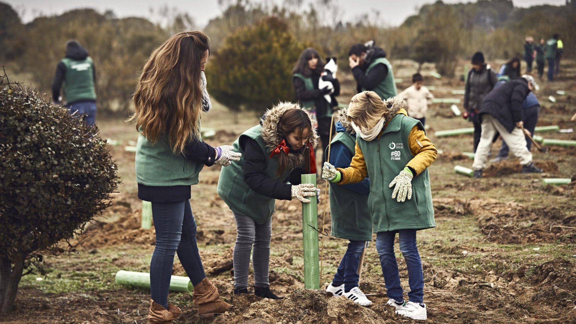 10 reasons to protect forests and plant many more