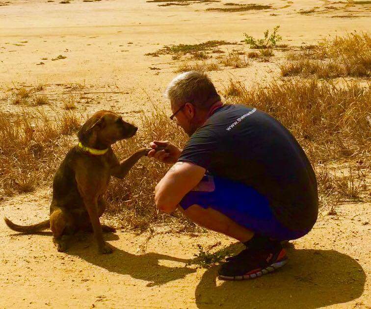 Michael feeds 80 stray and vulnerable dogs around town in Thailand ...