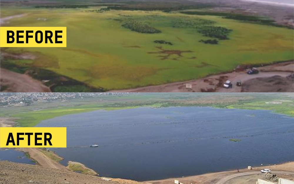 Discover how one man cleaned a contaminated lake in Peru using “nano ...