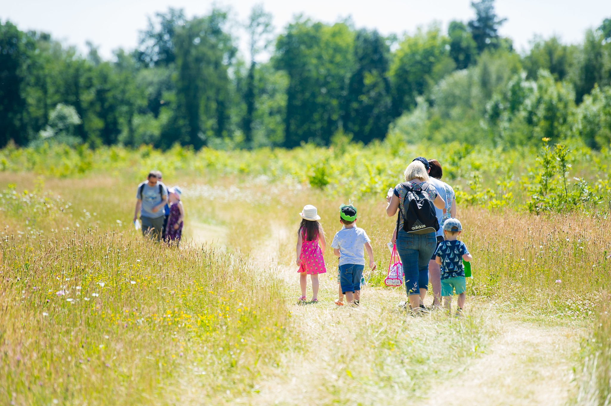 Yorkshire biodiversity hotspot proves woodmeadows can help reverse the ...