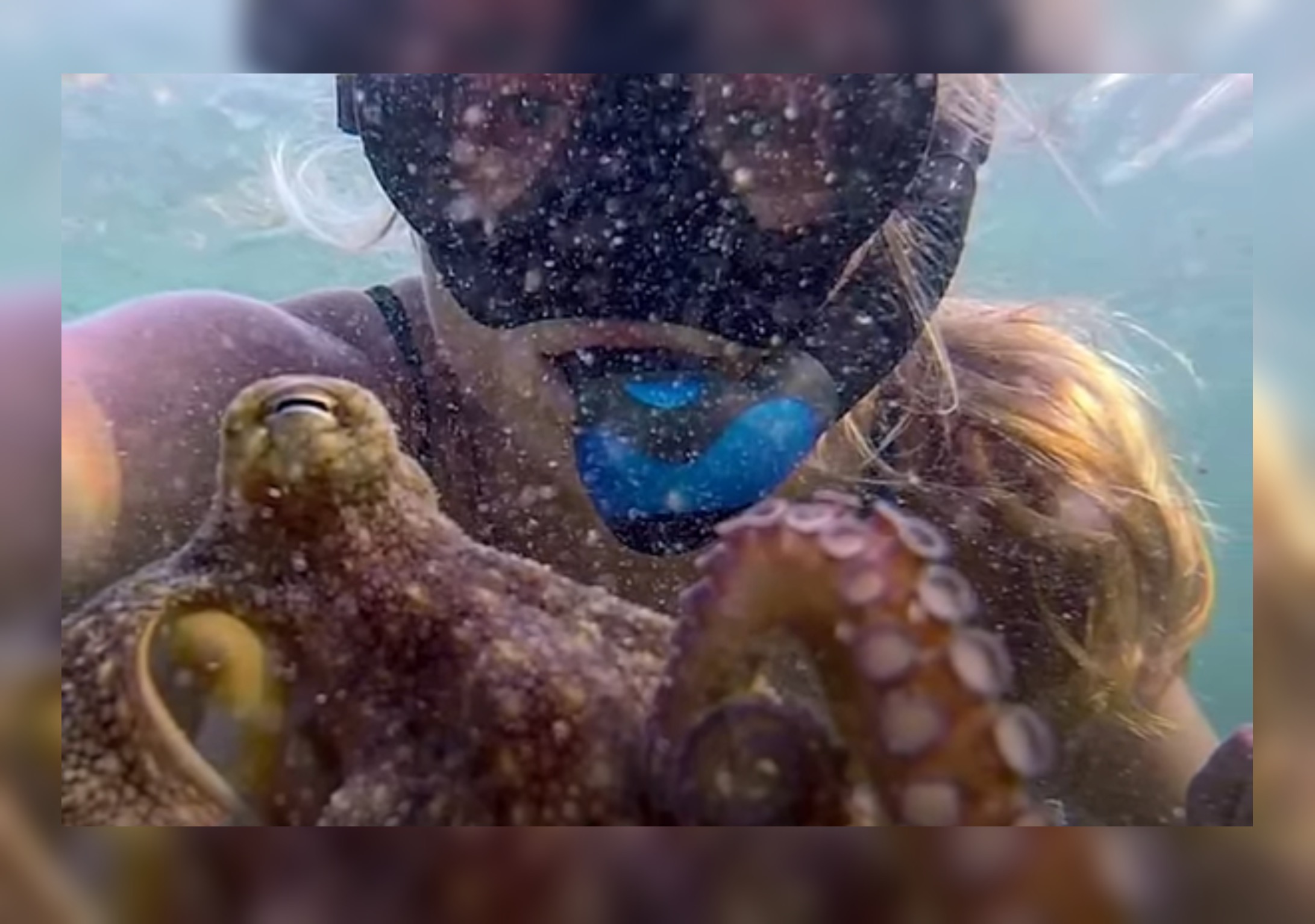 Long before 'My Octopus Teacher's was released, this woman Befriended ...