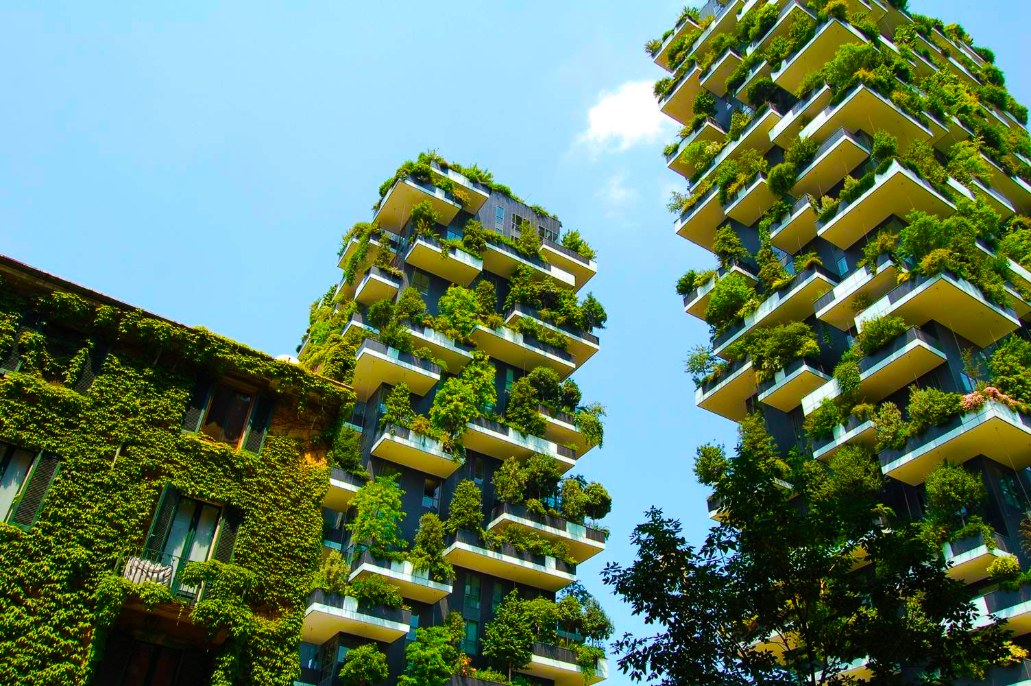Turning cities into vertical forests: a radical plan to combat air ...