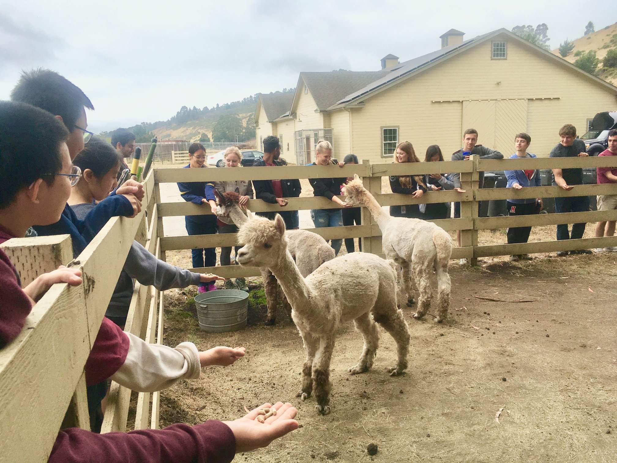 WILDMIND: THE SANCTUARY WHERE ANIMALS AND AT-RISK TEENS COME TOGETHER ...