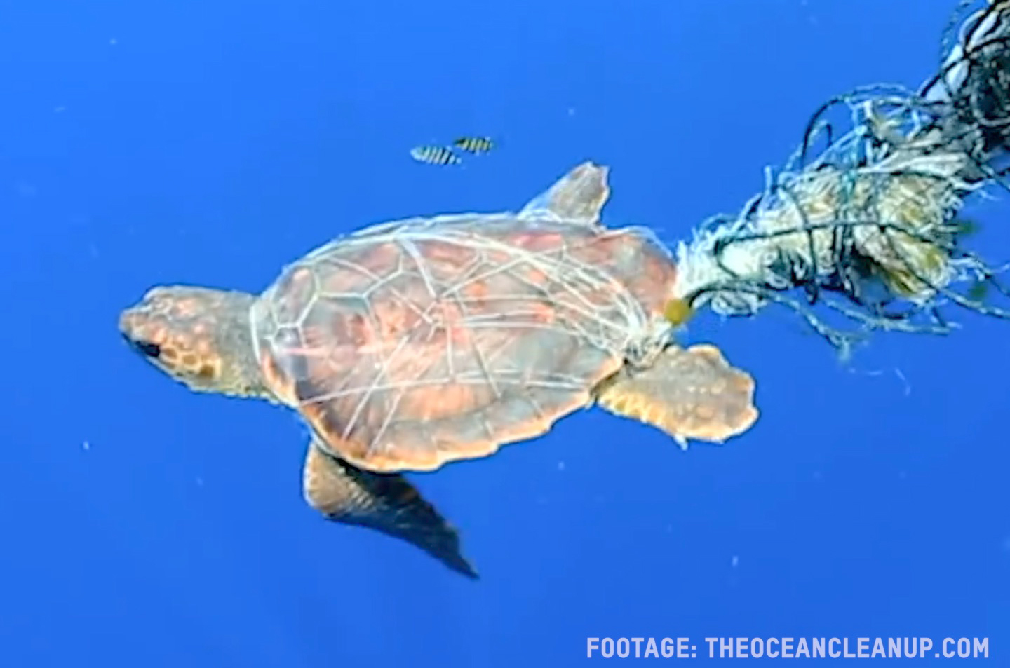 Drowning in plastic? 14 bits of plastic you can quit today! - BrightVibes